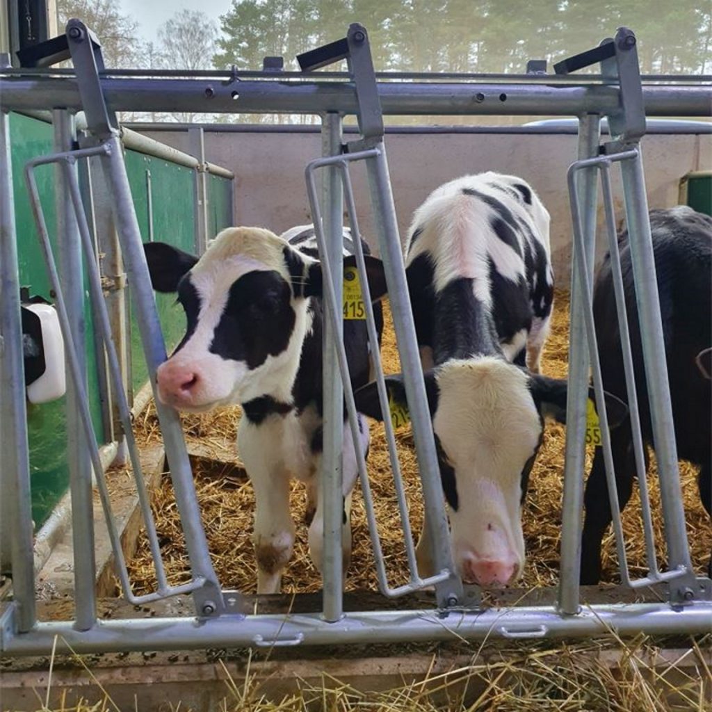 Låsbar Kalvfront - modell 400 - Ydre-Grinden